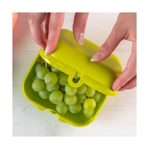 Tupperware, Eco Accessory Oyster Large - 262148 Price in Lebanon ...